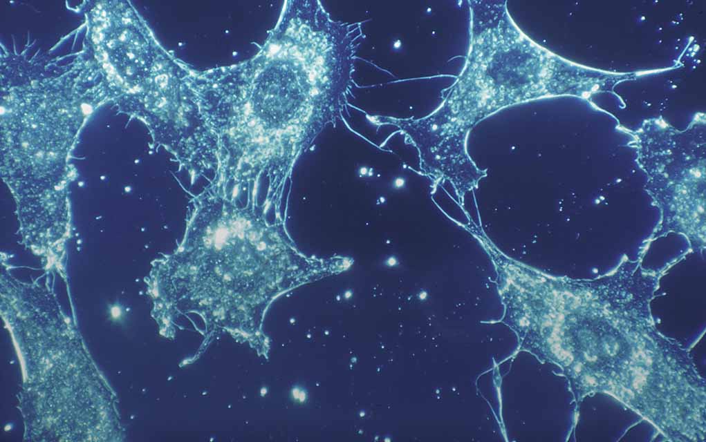 How Photography Changed the World